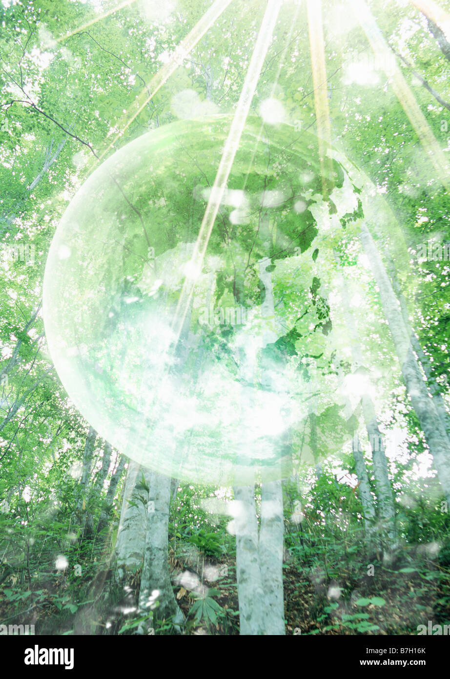 Forest and globe Stock Photo - Alamy