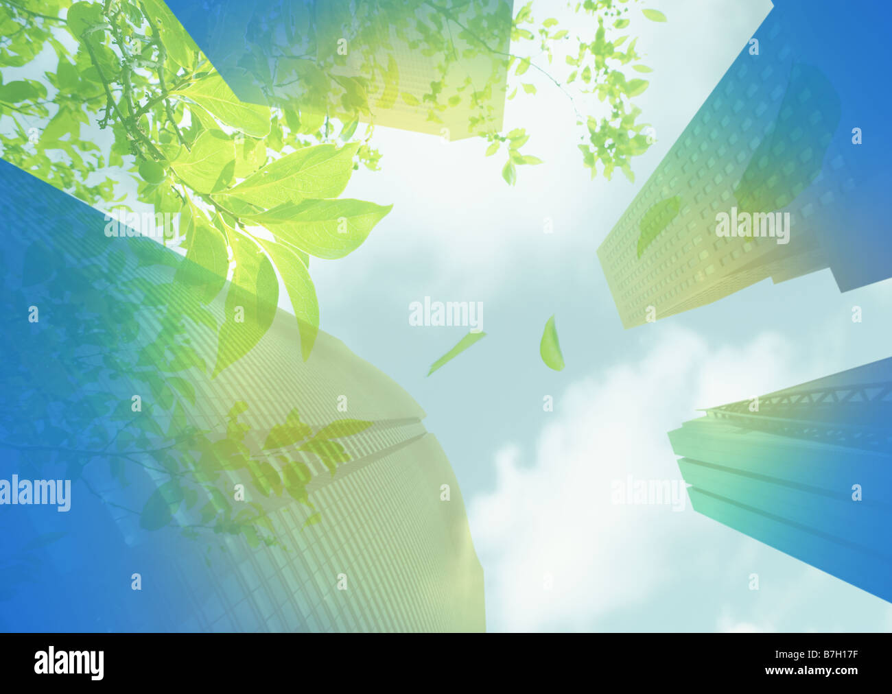 Buildings and leaves Stock Photo - Alamy