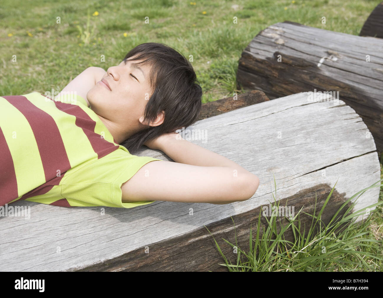 Boy taking a nap on the lying tree in the field Stock Photo - Alamy
