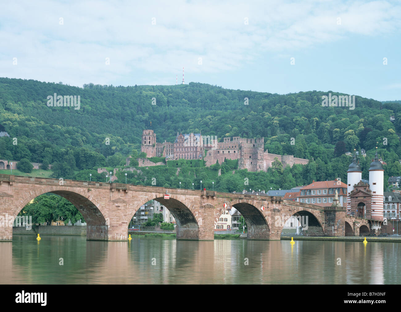 Heidelberg Castle, Karl Theodor Stock Photo - Alamy