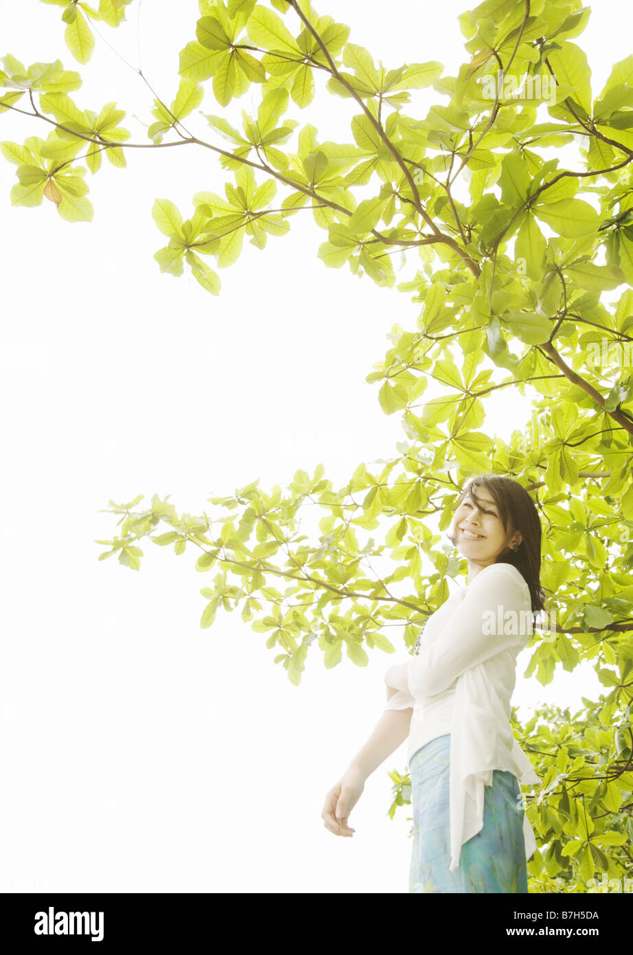 Woman and tree Stock Photo - Alamy