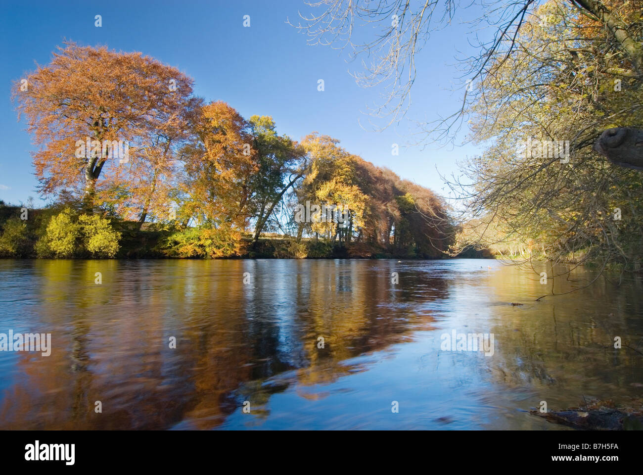 River esk path hi-res stock photography and images - Alamy