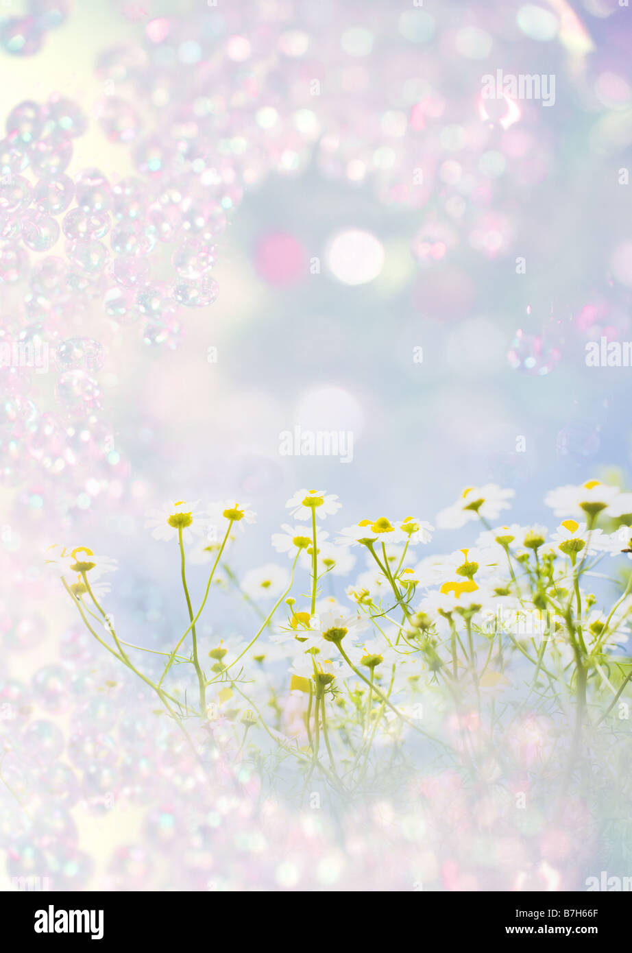 Spring has Come Stock Photo - Alamy