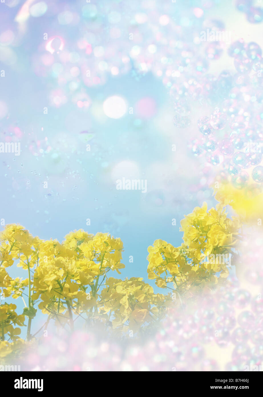 Spring has Come Stock Photo - Alamy