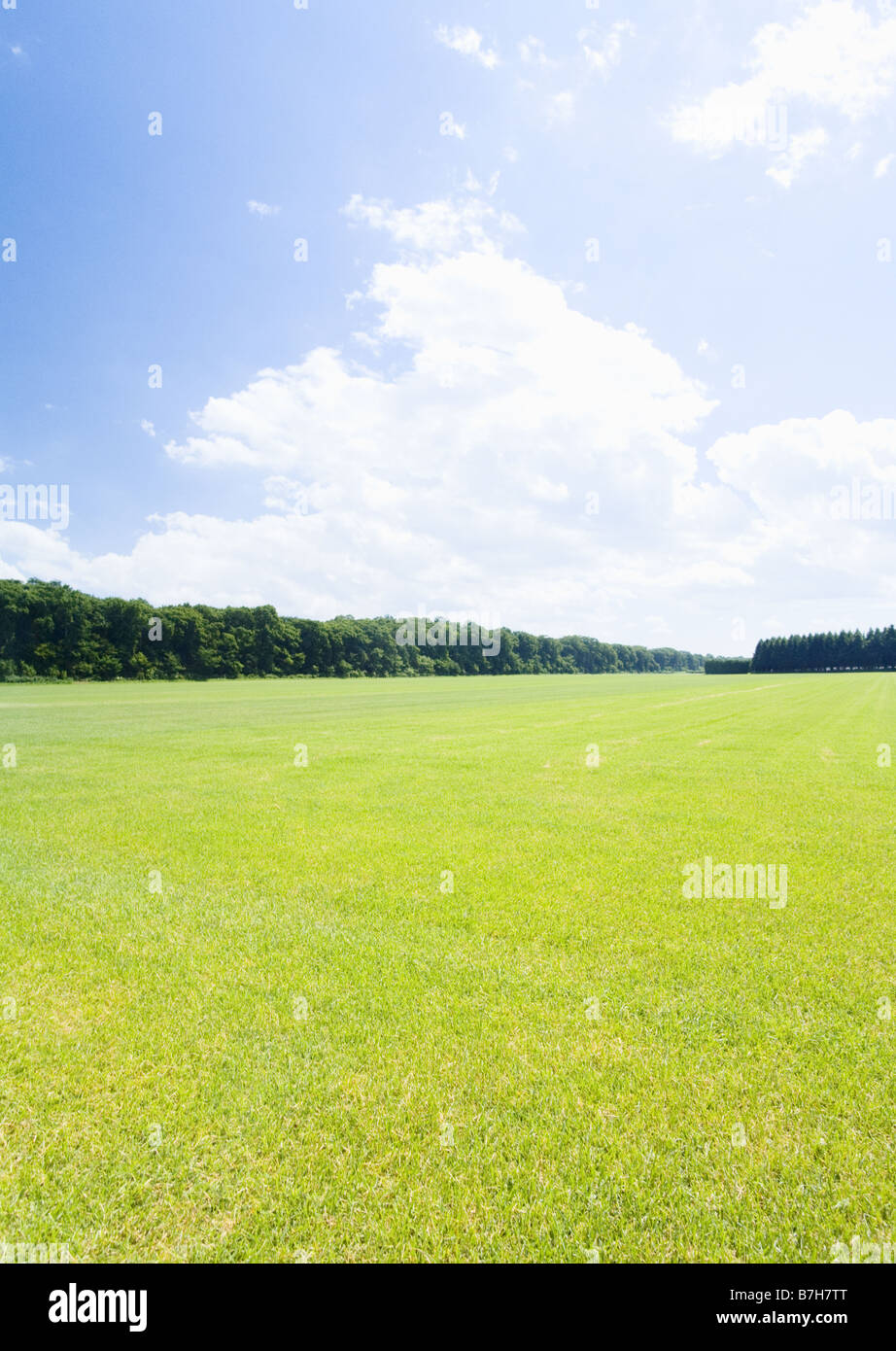 Blue sky and lawn Stock Photo - Alamy