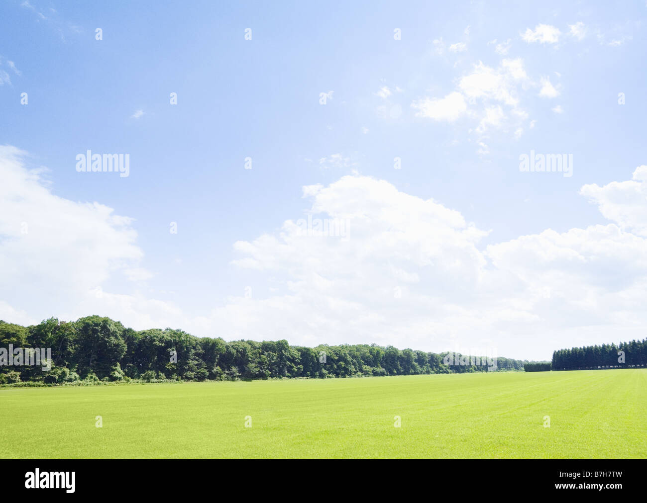 Blue sky and lawn Stock Photo - Alamy
