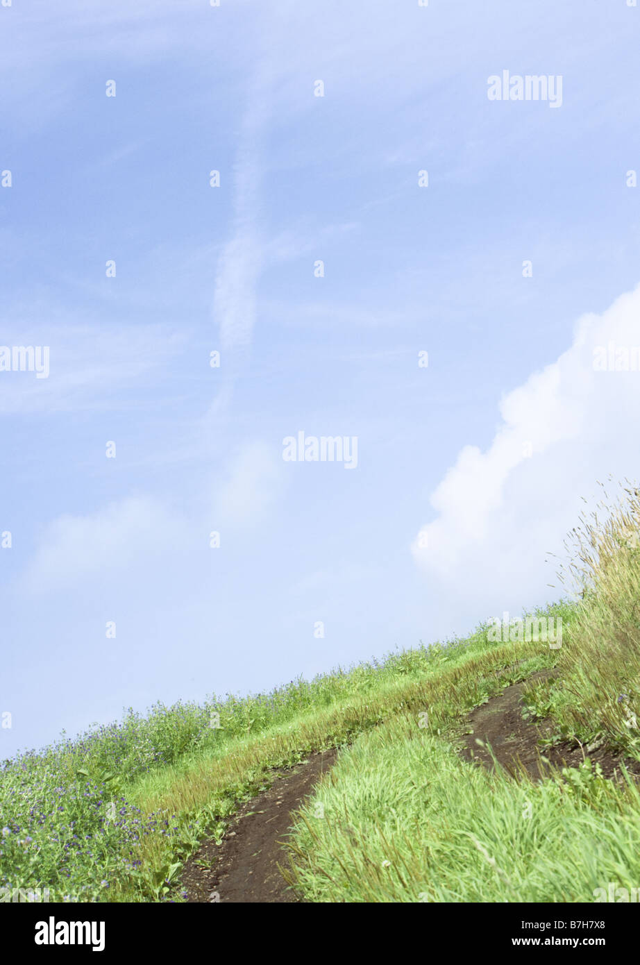 Blue sky and the path in field Stock Photo - Alamy