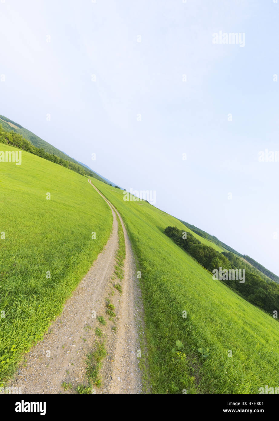 Blue sky and the path in the field Stock Photo - Alamy