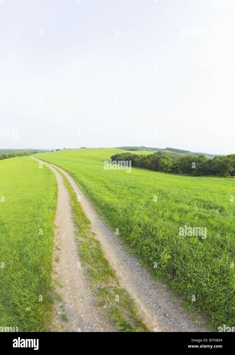 Blue sky and the path in the field Stock Photo - Alamy