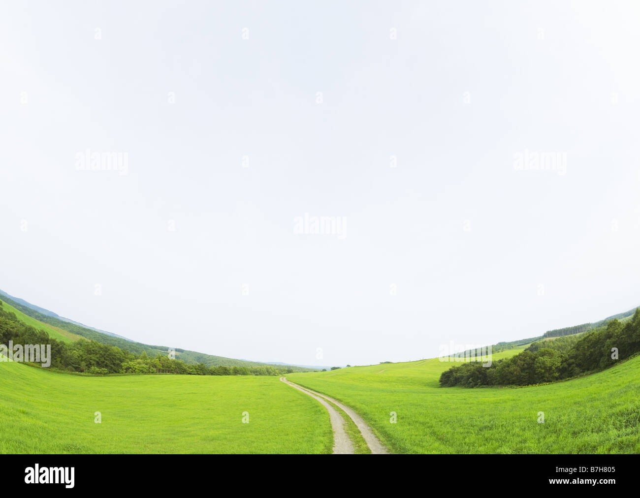 Blue sky and the path in the field Stock Photo - Alamy