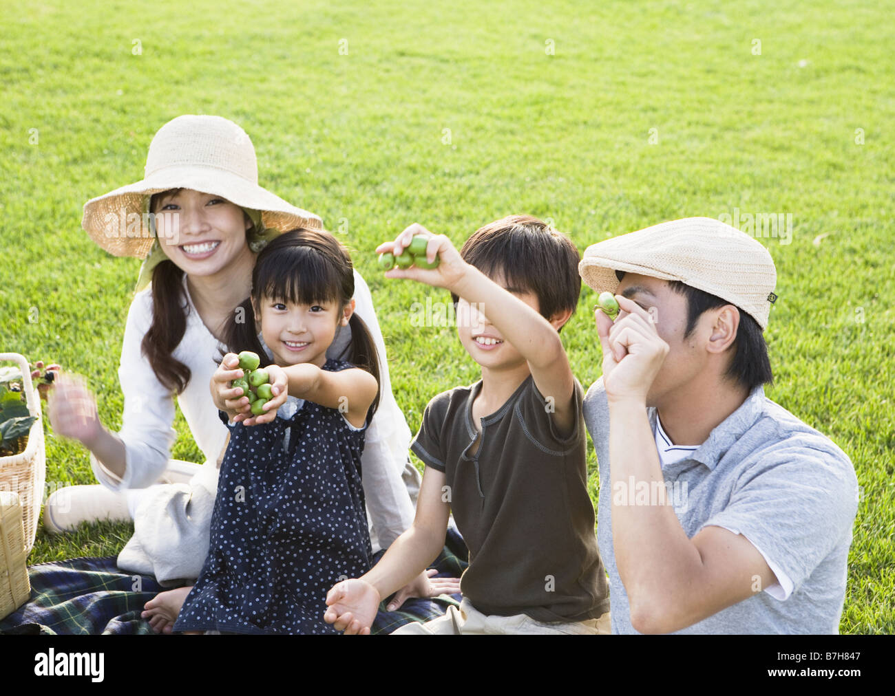 Family playing in the field with grass Stock Photo - Alamy