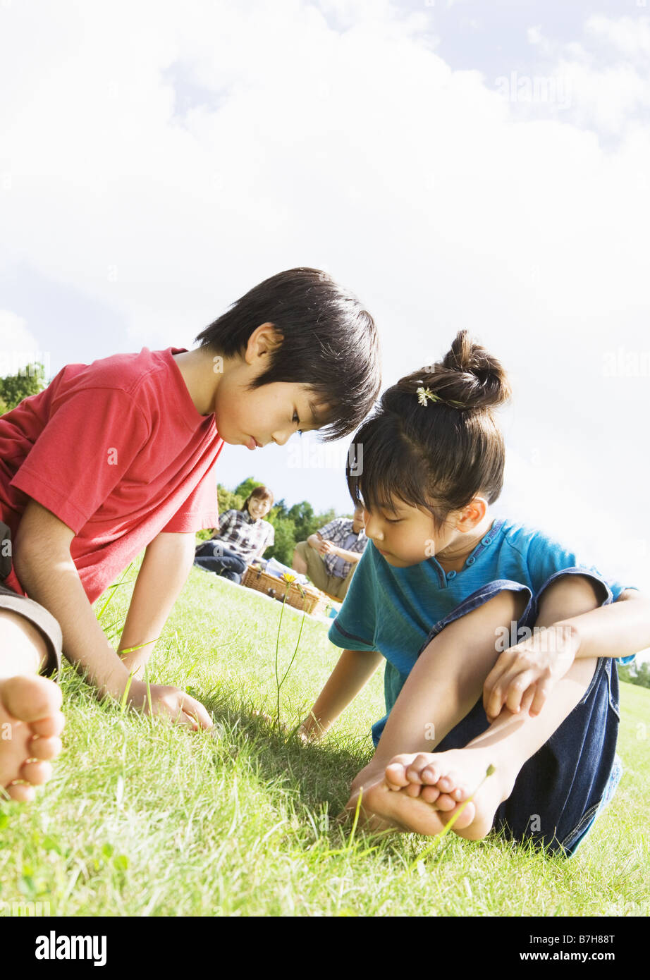Children looking at flower Stock Photo - Alamy