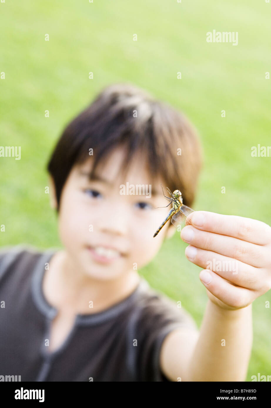A boy grabbing a dragonfly Stock Photo - Alamy