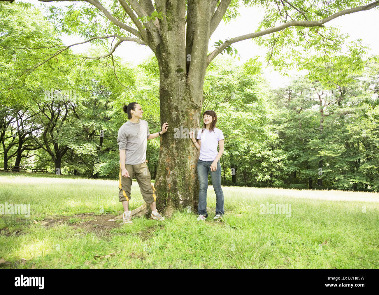 Young people under the shade of a tree Stock Photo - Alamy
