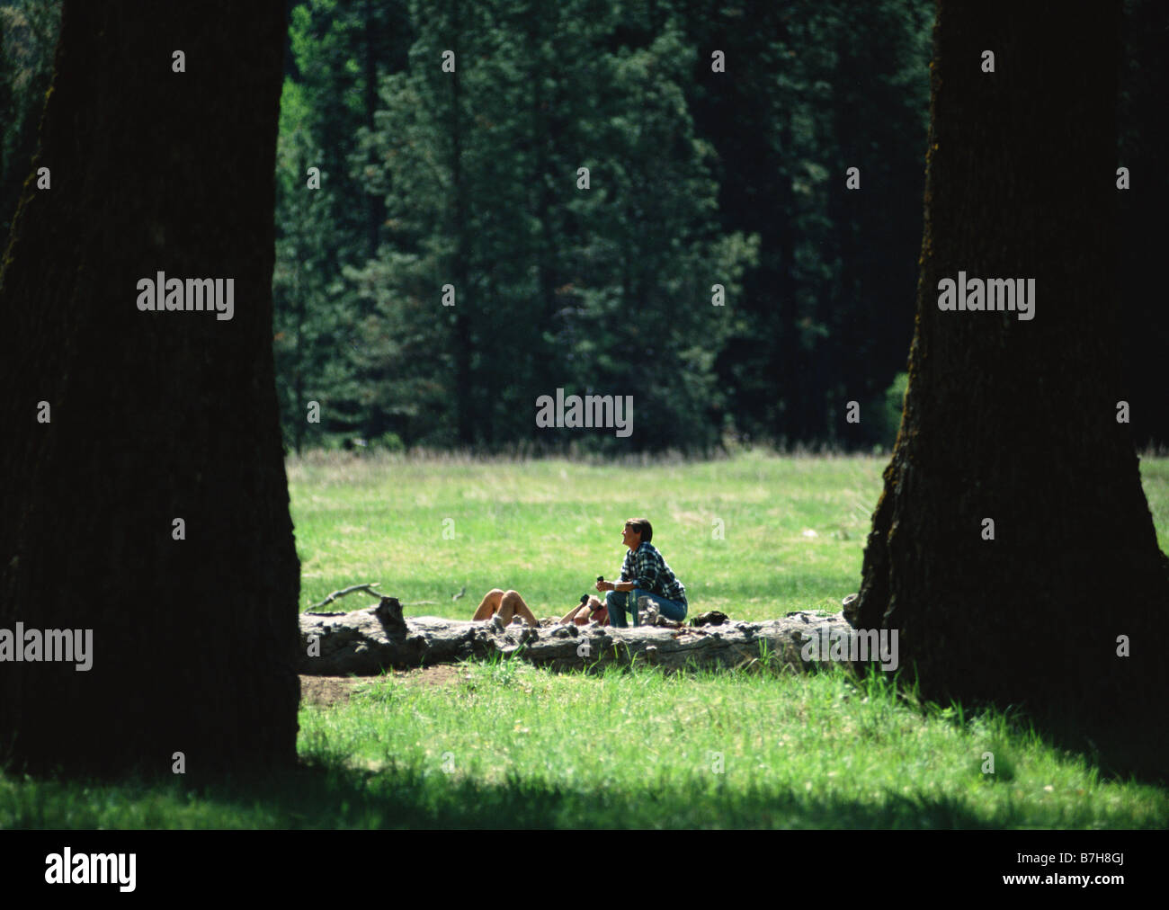 Basking in the woods Stock Photo - Alamy
