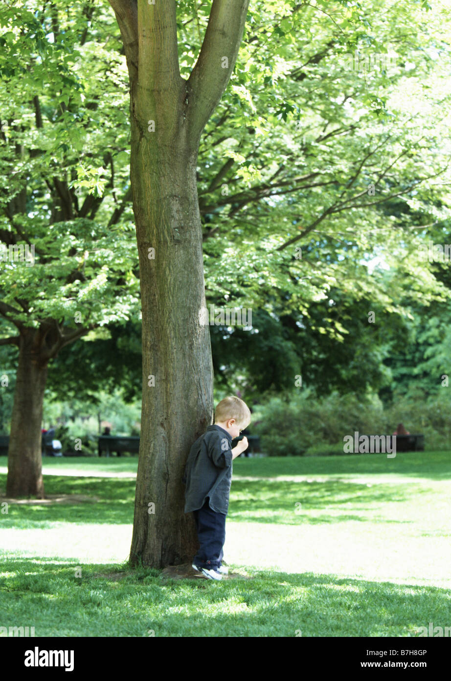 A boy under the tree Stock Photo - Alamy