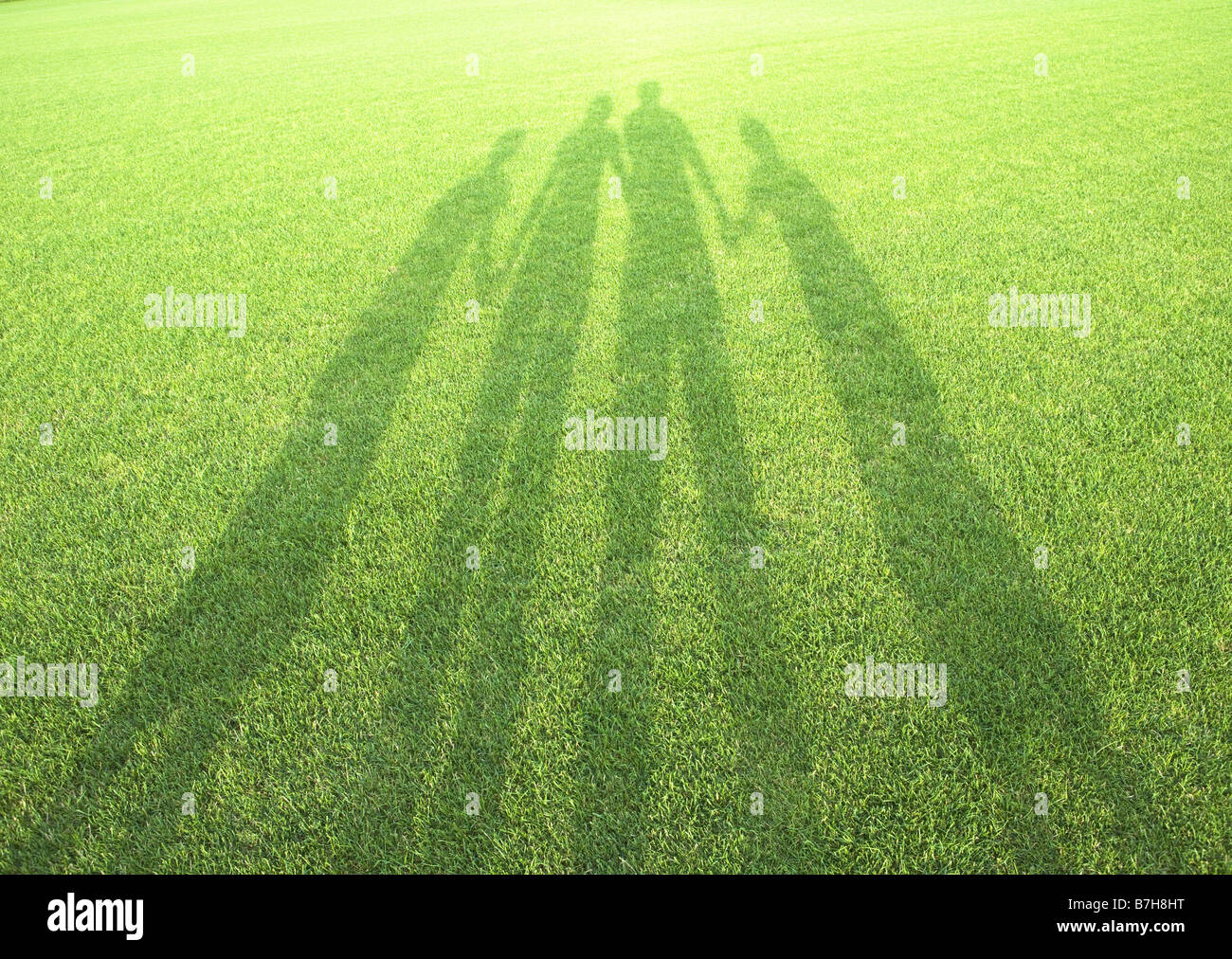 Shadow in the field of grass Stock Photo - Alamy