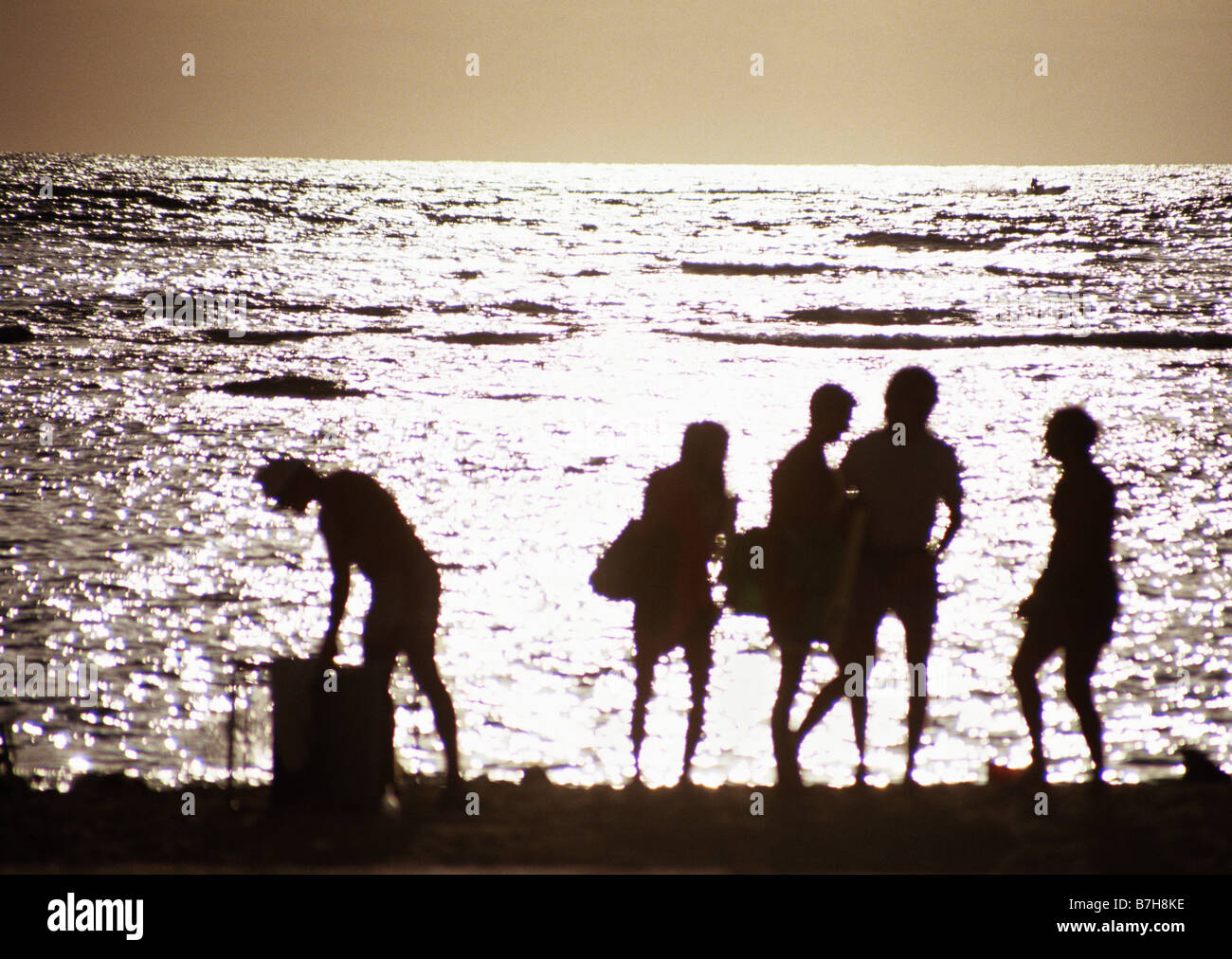 Sea blight hi-res stock photography and images - Alamy