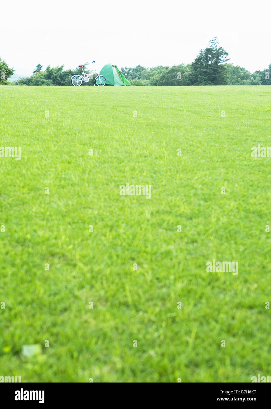 Tent in the grass Stock Photo - Alamy