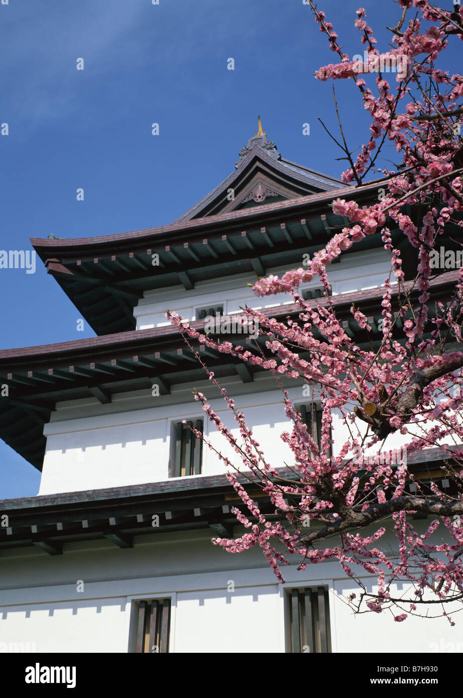 Matsumae castle hi-res stock photography and images - Alamy