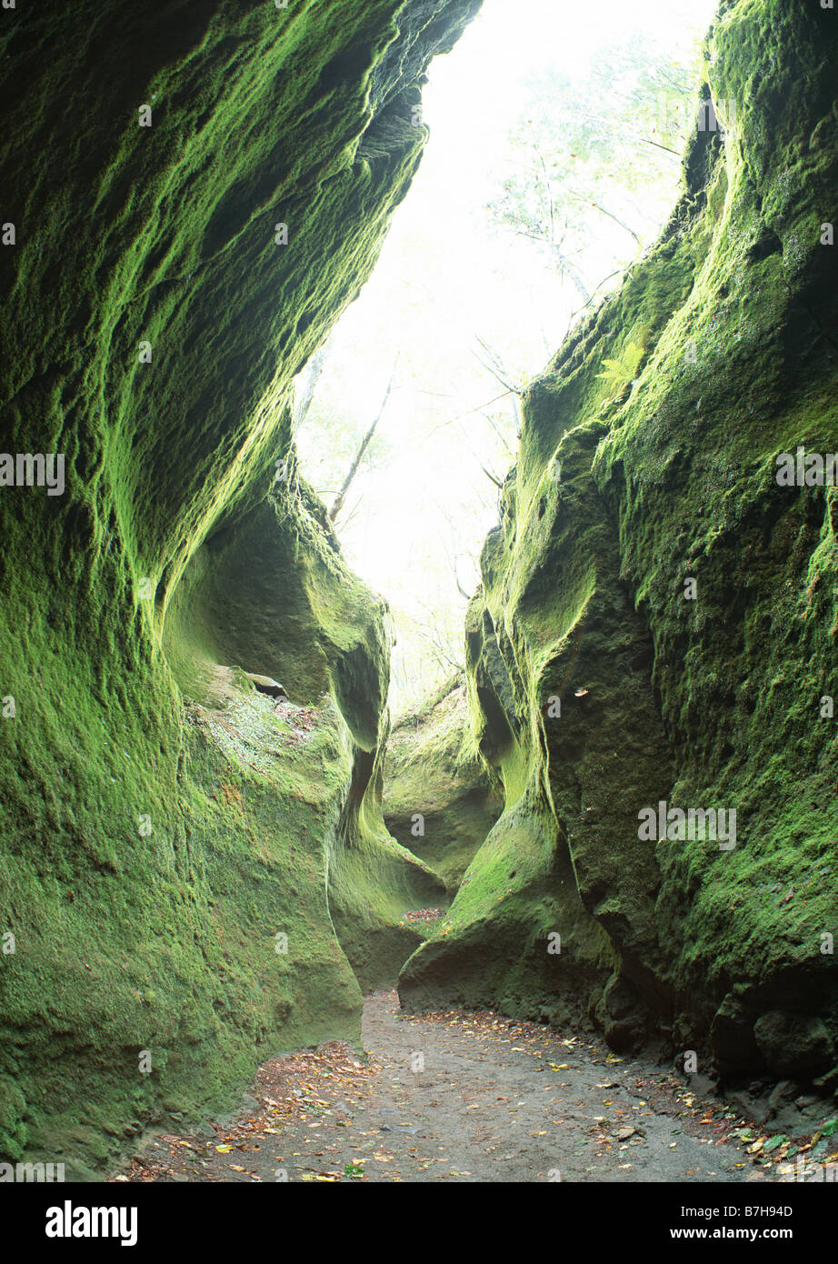 Moss covered path japan hi-res stock photography and images - Alamy