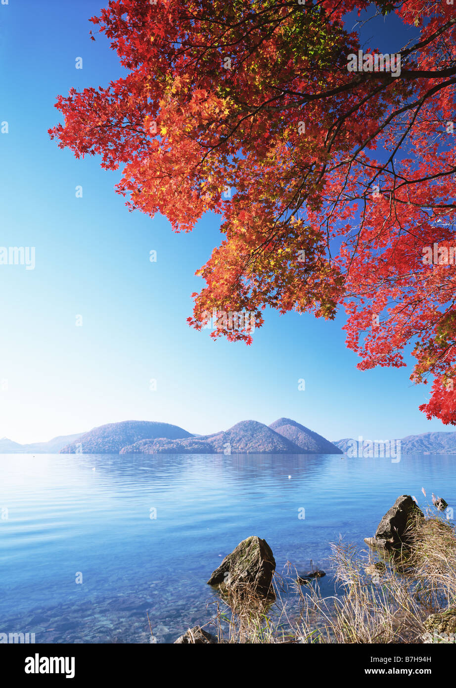 Lake Toya and autumn tree Stock Photo - Alamy
