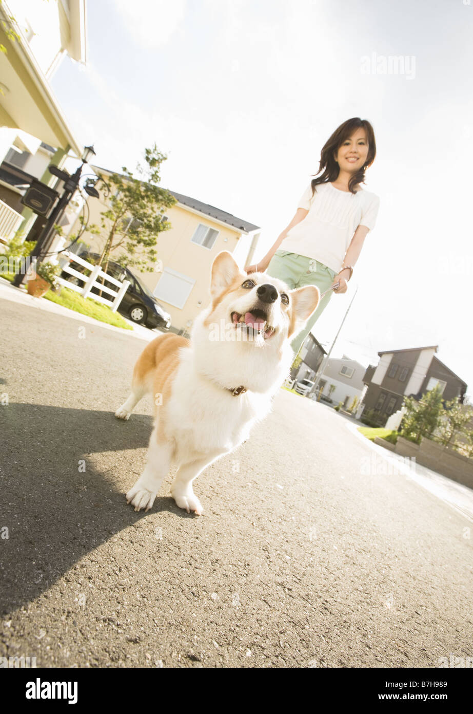 A woman walking her dog Stock Photo - Alamy