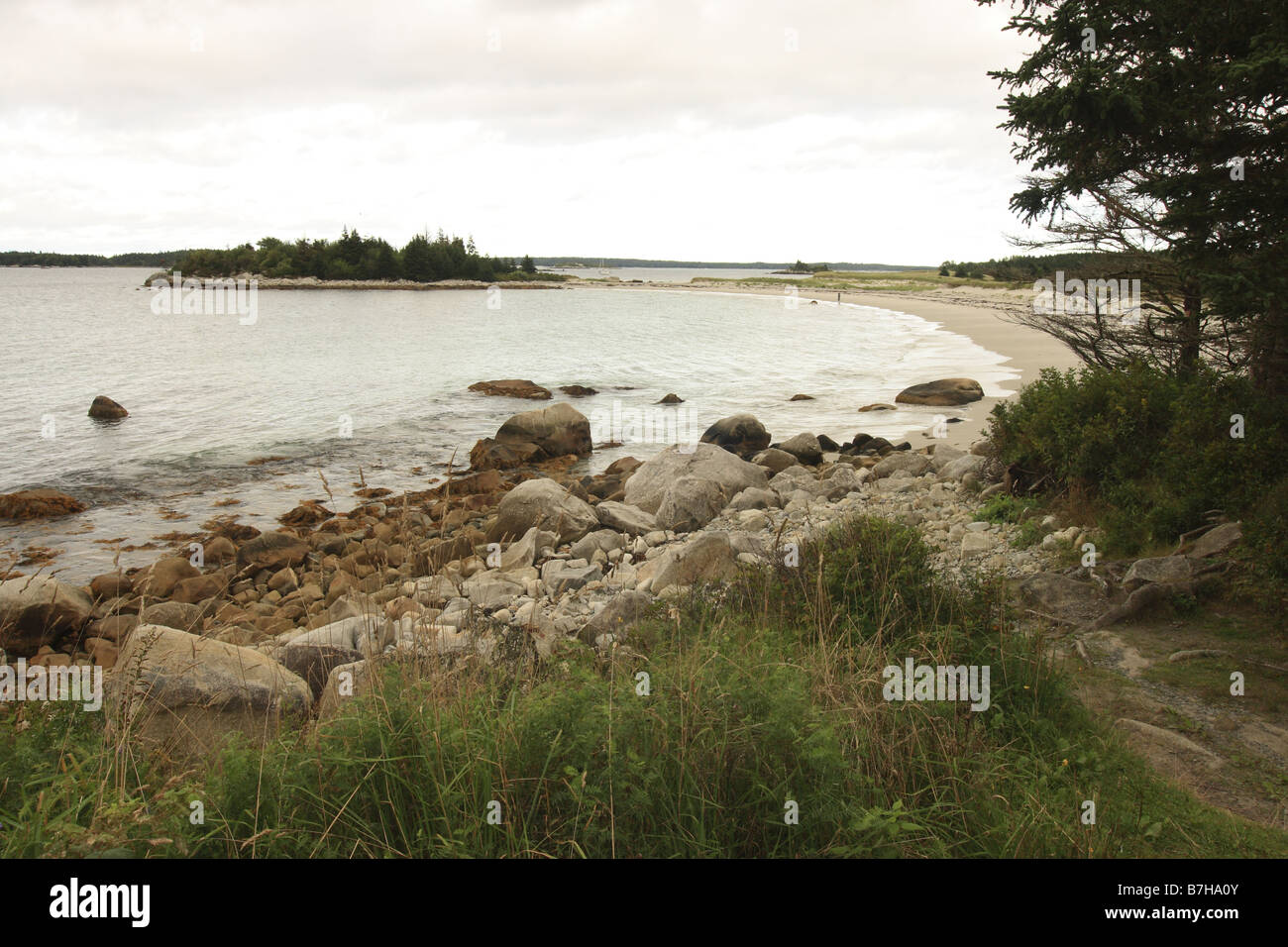carter's beach,nova scotia,canada Stock Photo - Alamy