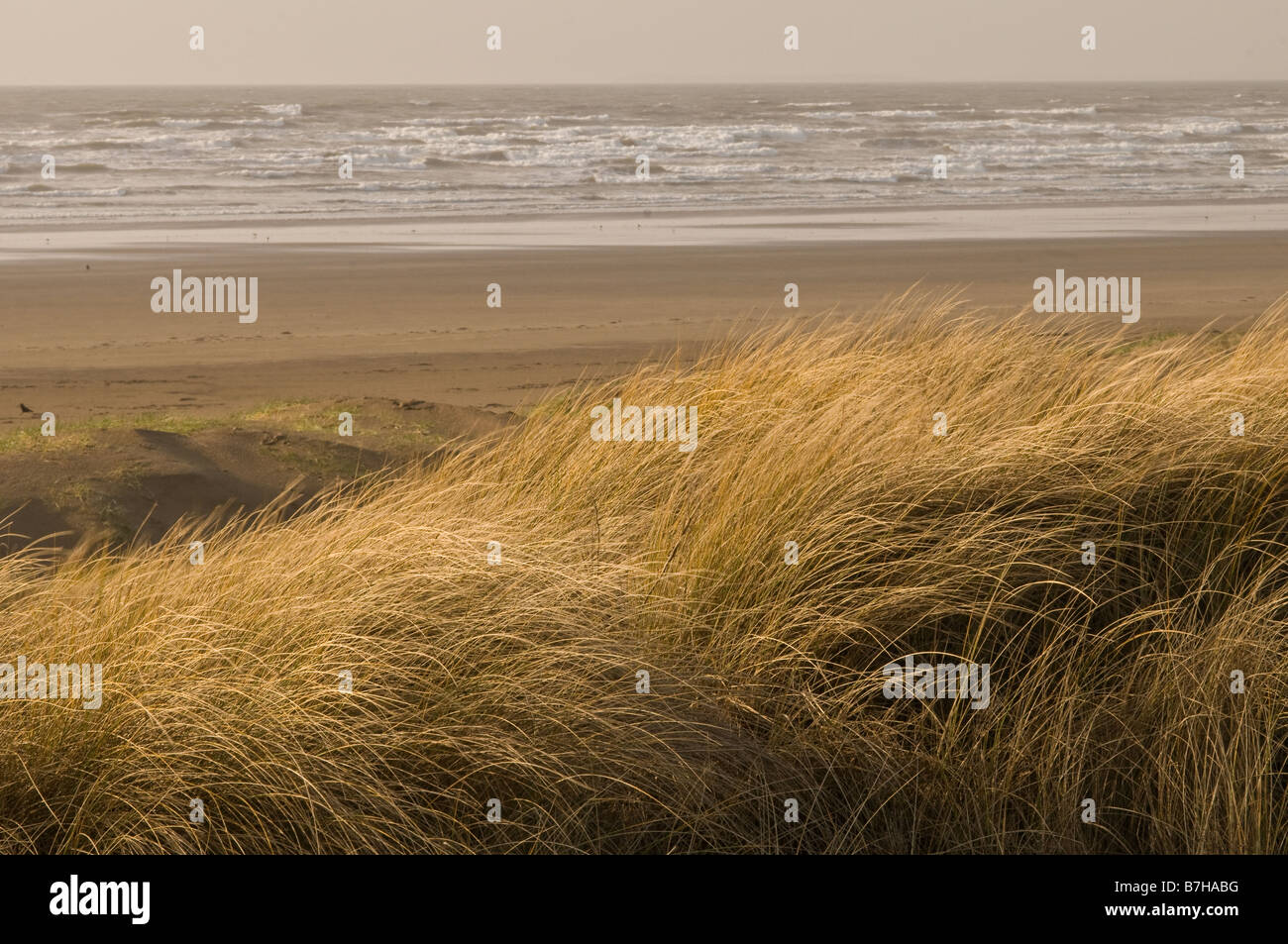 Beach at Cefn Sidan in the Pembrey Country Park Carmarthenshire South ...
