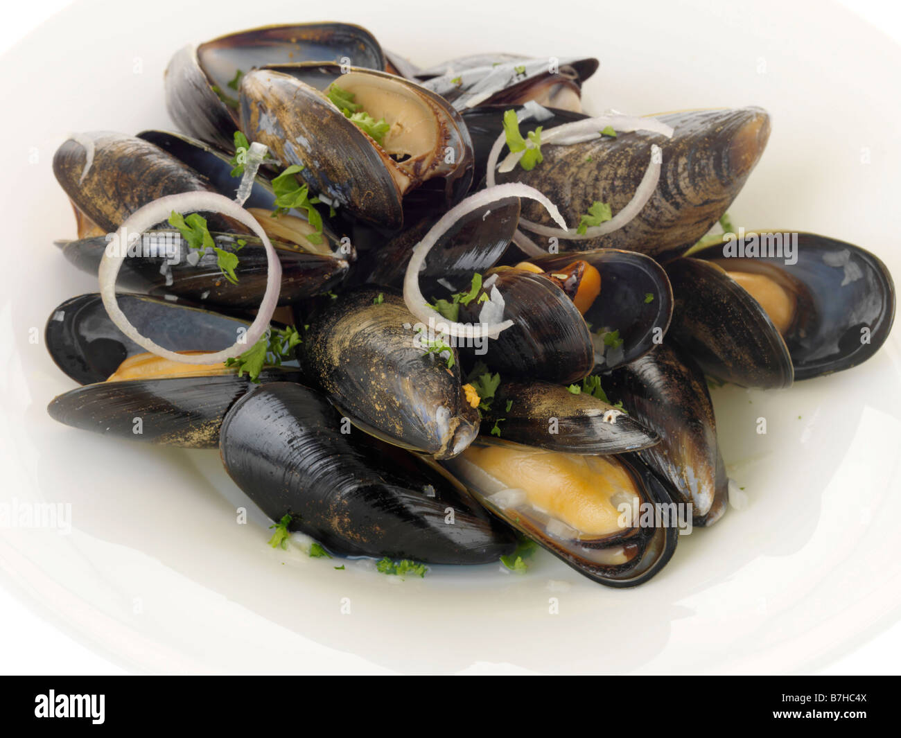 Rope grown mussel rope grown mussel hi-res stock photography and images ...