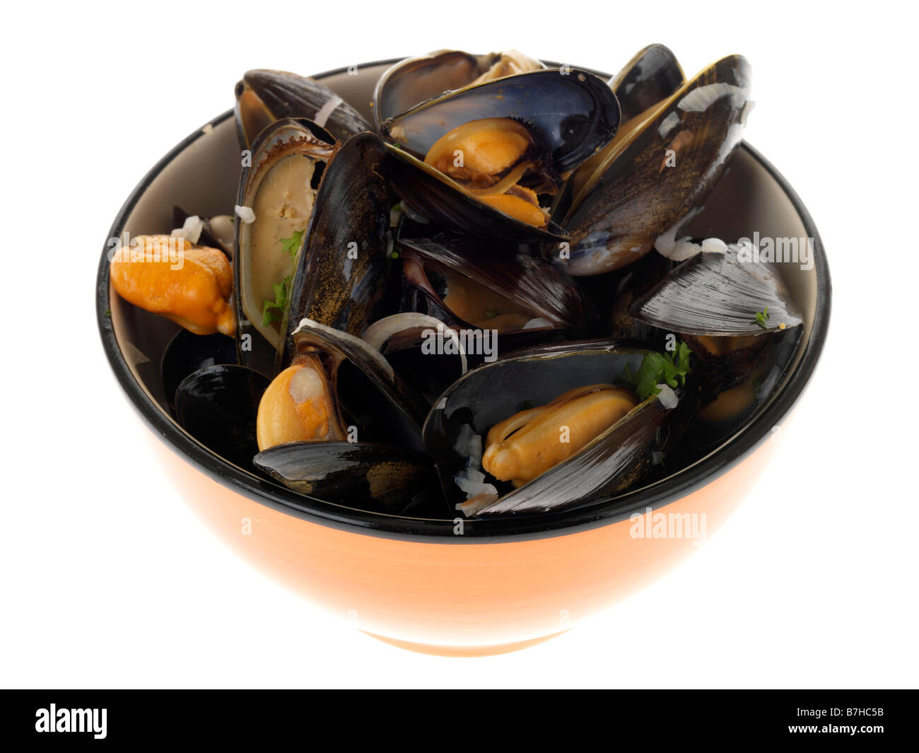 Rope grown mussels Cut Out Stock Images & Pictures - Alamy