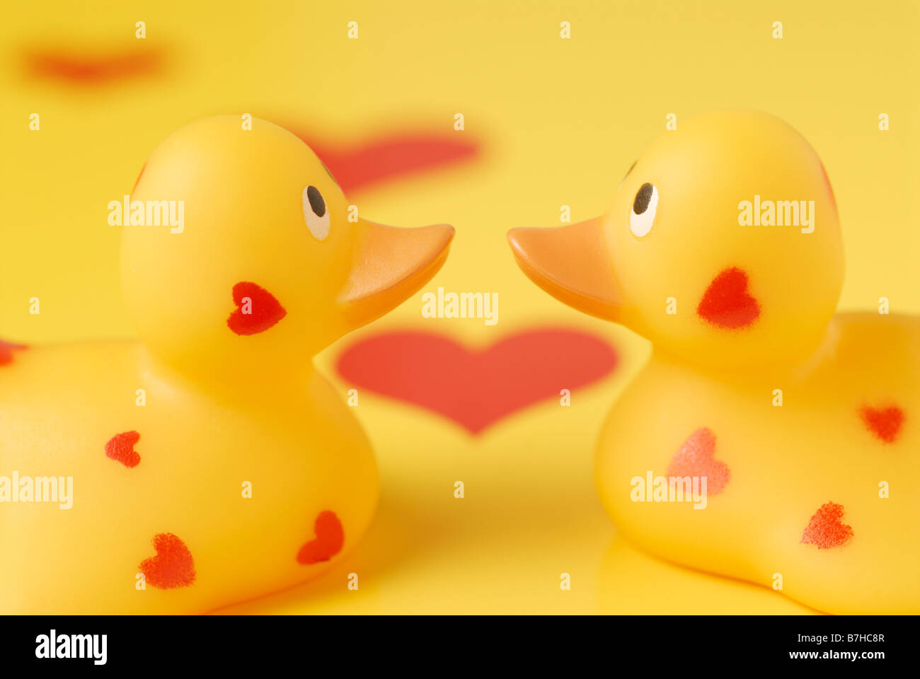 Rubber duck heart hi-res stock photography and images - Alamy