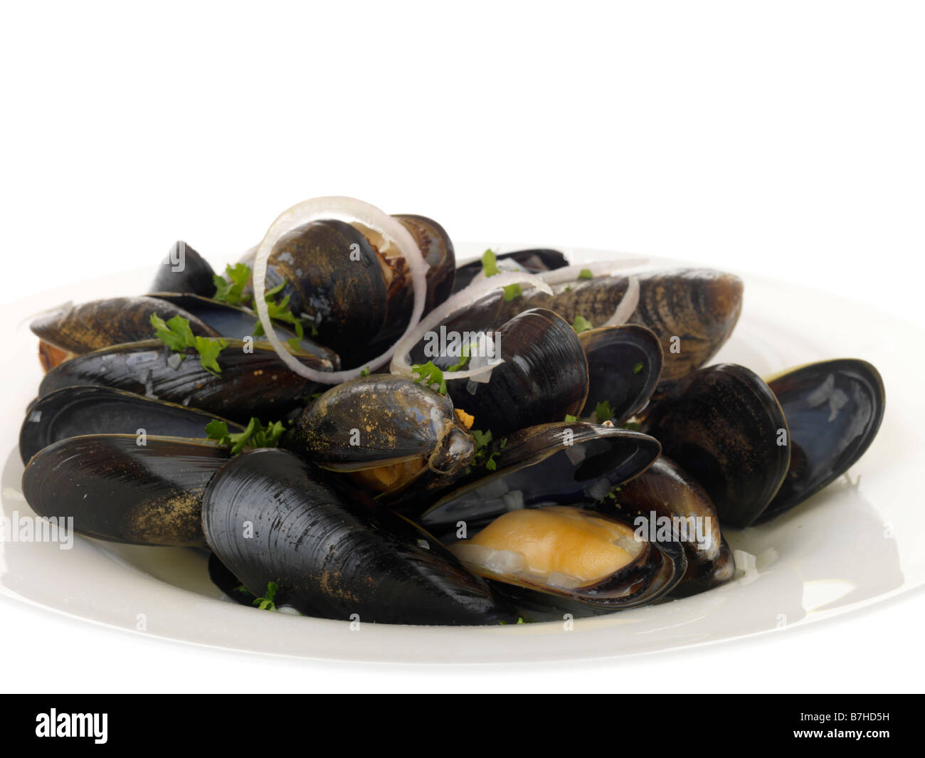 Muscle fish Cut Out Stock Images & Pictures - Alamy