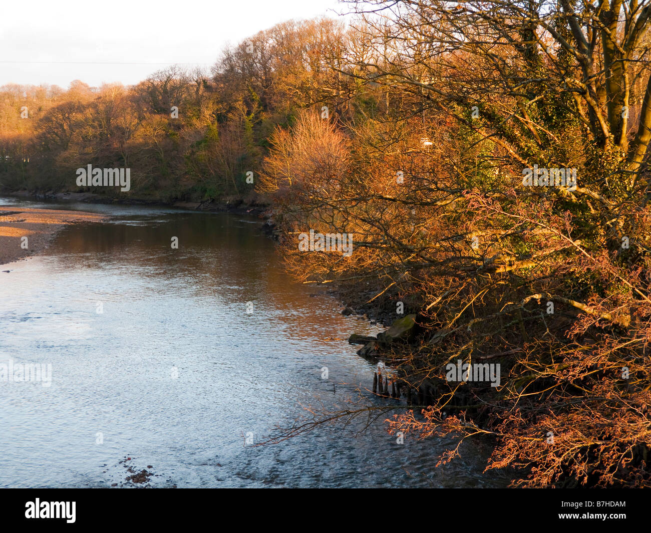 Water esk hi-res stock photography and images - Alamy