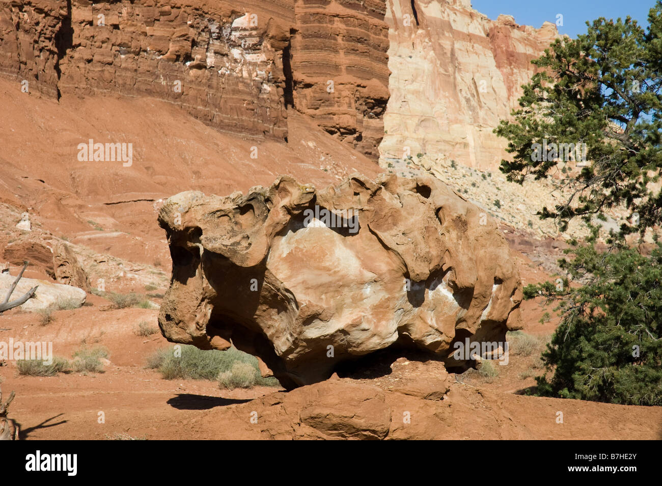 tooth rock formation in Capitol Reef National Park Stock Photo - Alamy