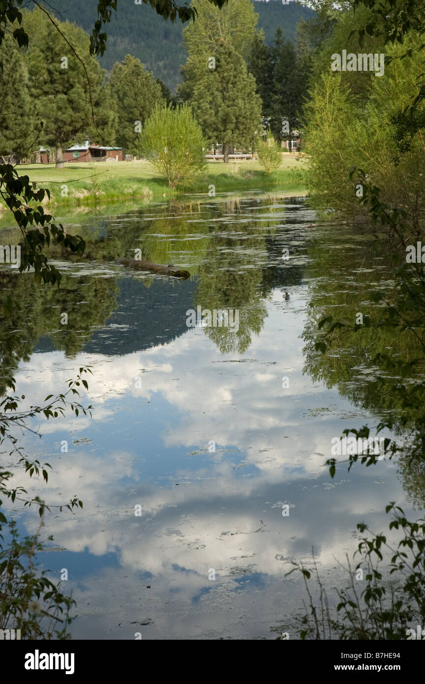 Sky and clouds reflects on a pond, Washington state, USA Stock Photo ...