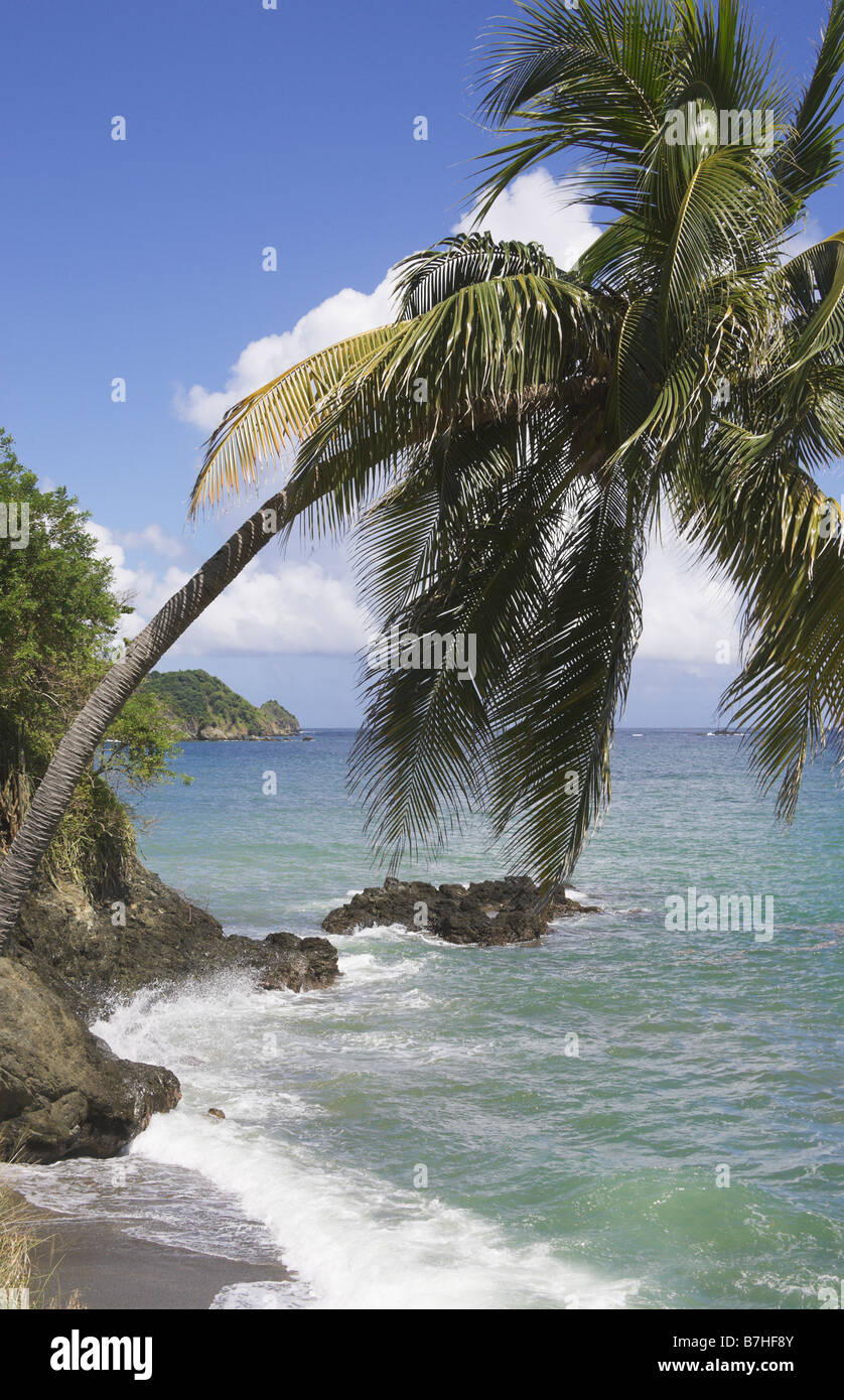 Coastal scenery at Speyside Tobago West Indies Stock Photo - Alamy
