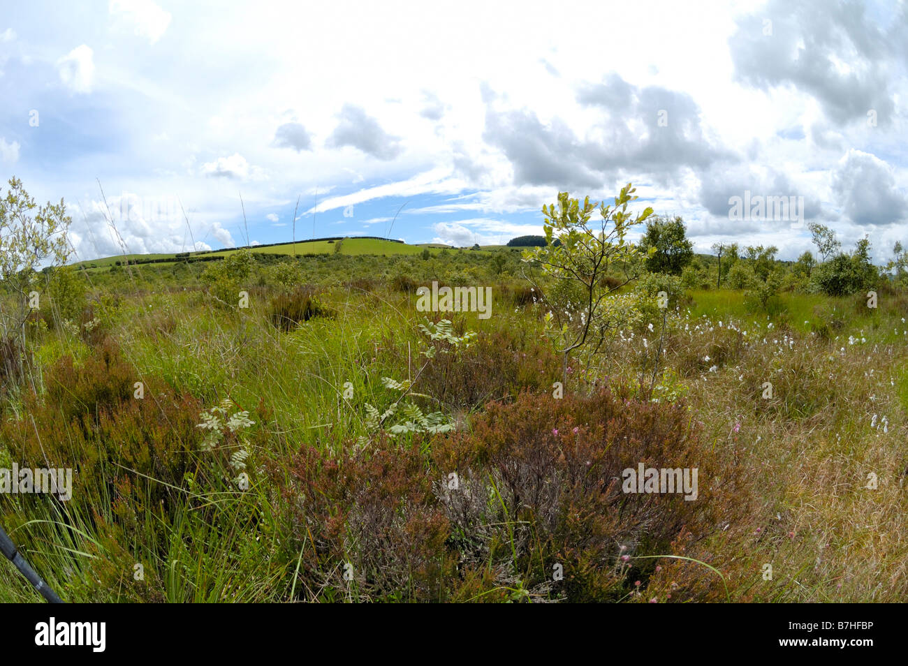 Radnorimages landscape hi-res stock photography and images - Alamy