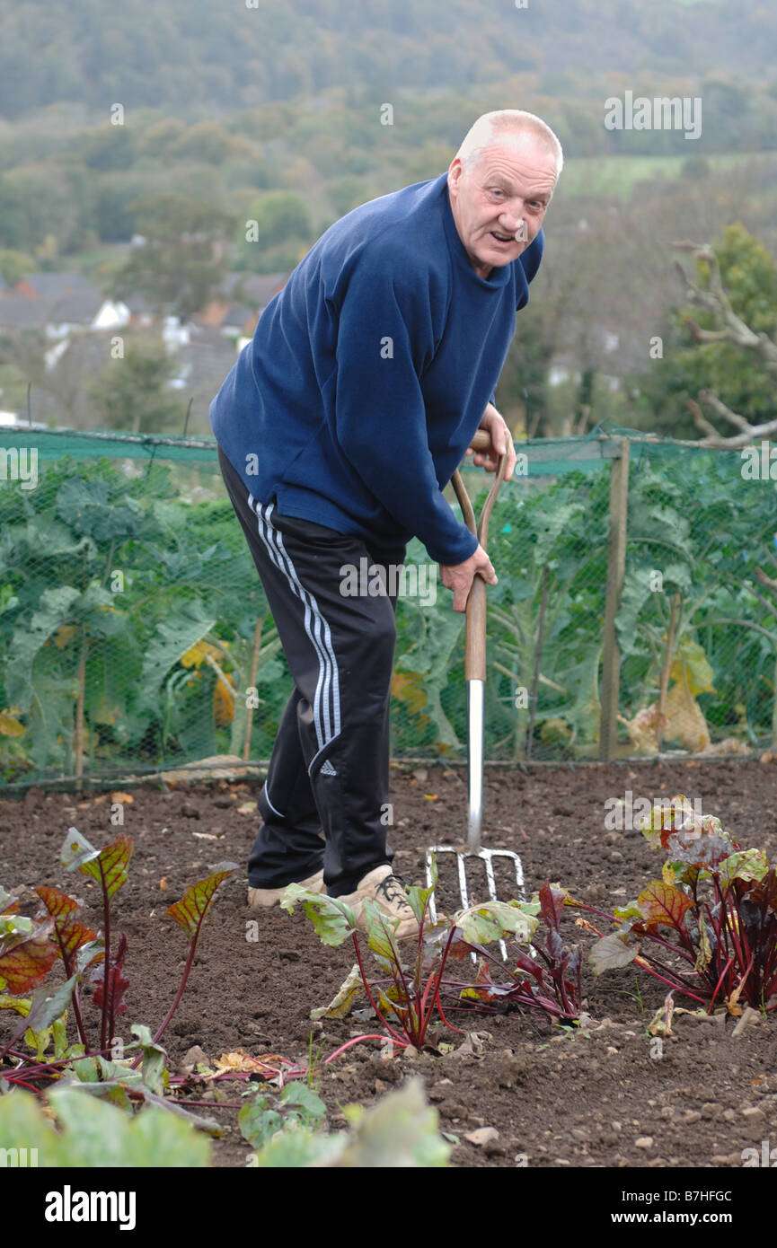 A man digging in his allotment in Bovey Tracey Devon England Stock ...