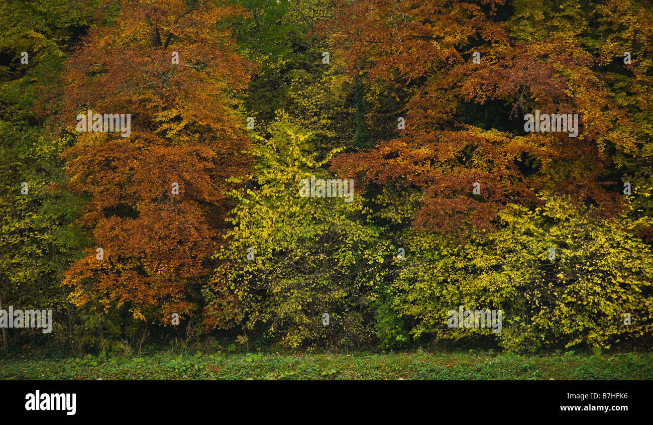 Fall colours of scotland hi-res stock photography and images - Alamy