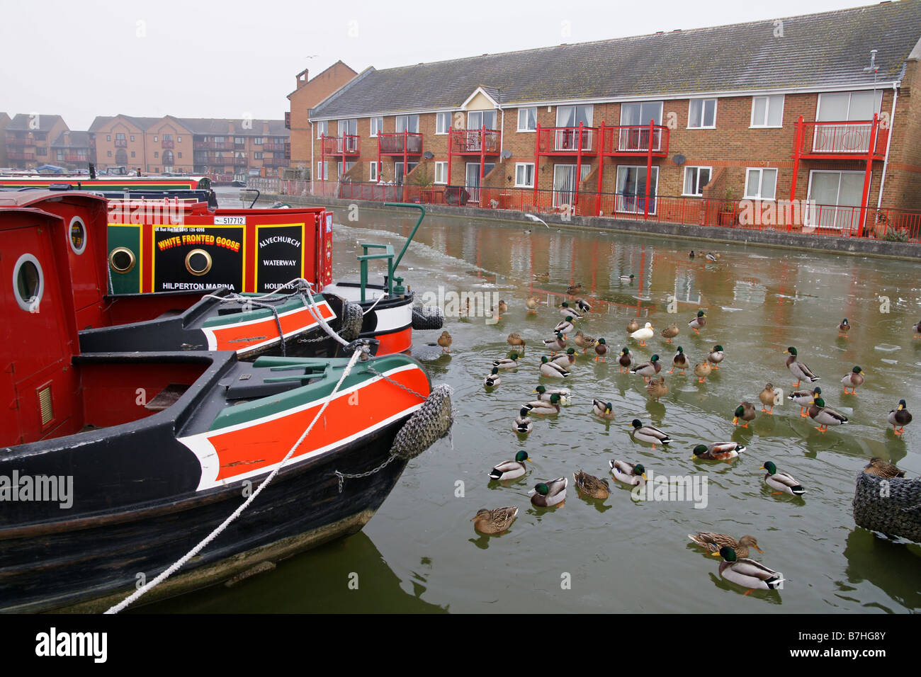 A frozen Hilperton Marina Trowbridge wiltshire Stock Photo - Alamy