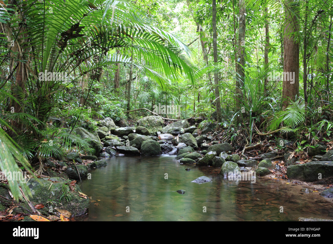 Daintree creek hi-res stock photography and images - Alamy