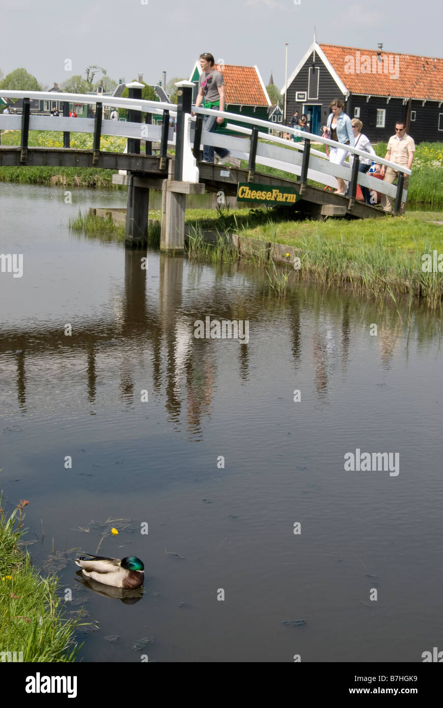 Wildlife Bridge Netherlands High Resolution Stock Photography and ...