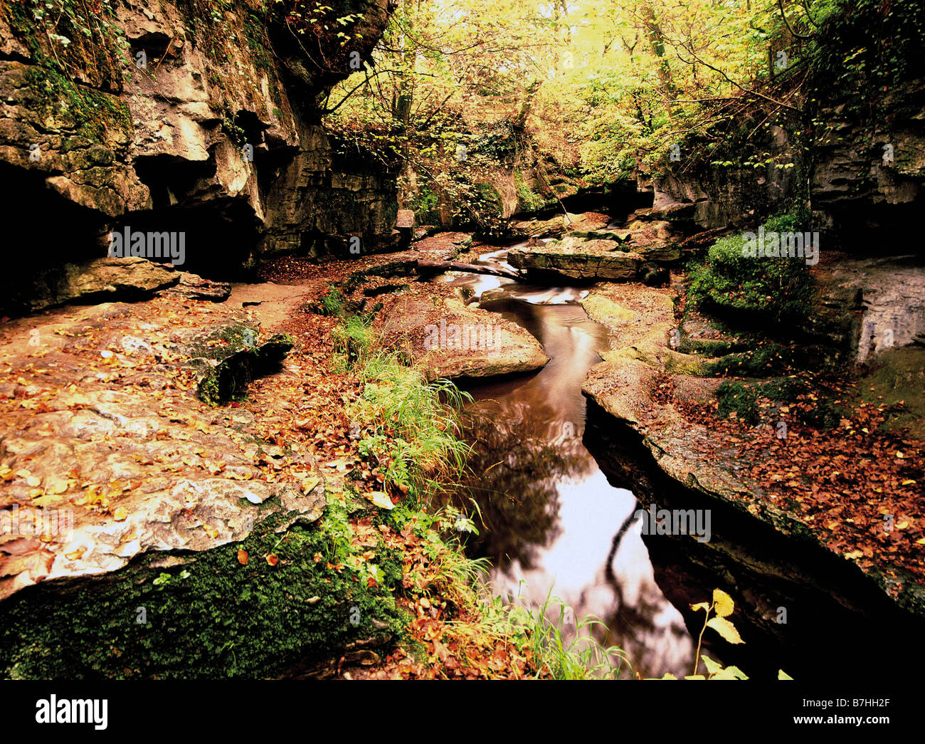 england YORKSHIRE DALES NATIONAL PARK how stean gorge nidderdale Stock ...