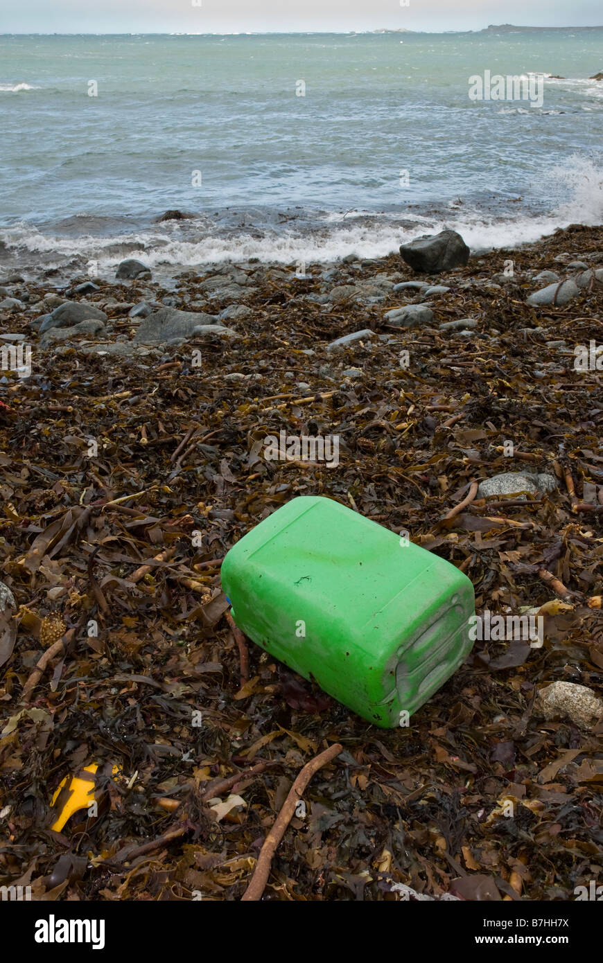 Chemical container with corrosive warning symbol washed up on seaweed ...