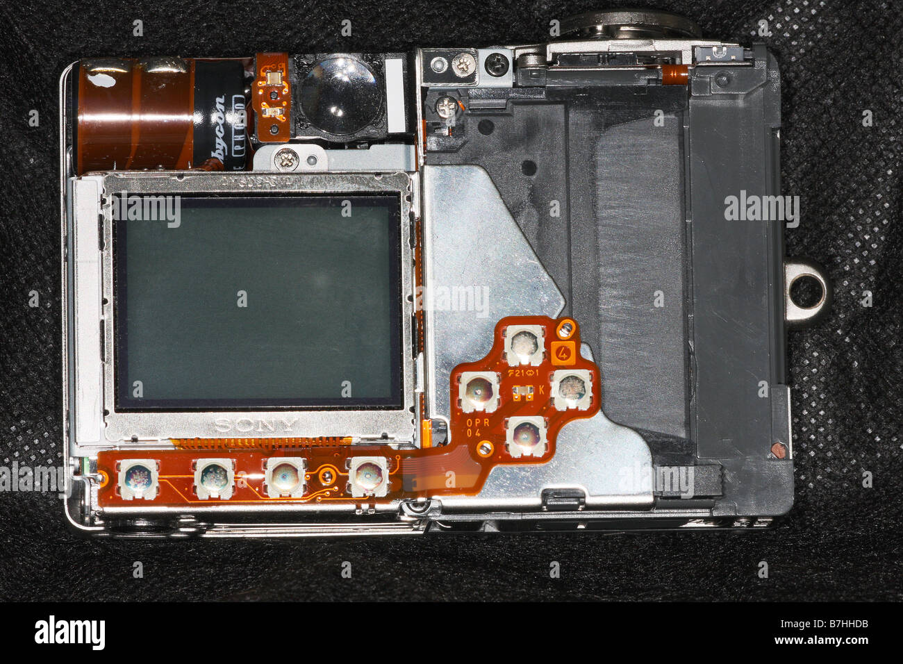 Back view of stripped digital compact camera showing lcd, flash ...