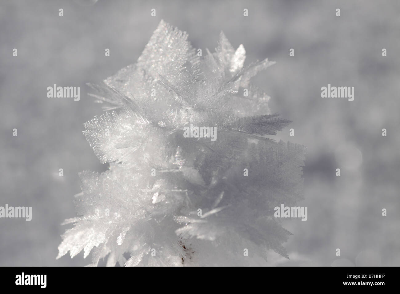 Snow on a pole hi-res stock photography and images - Alamy