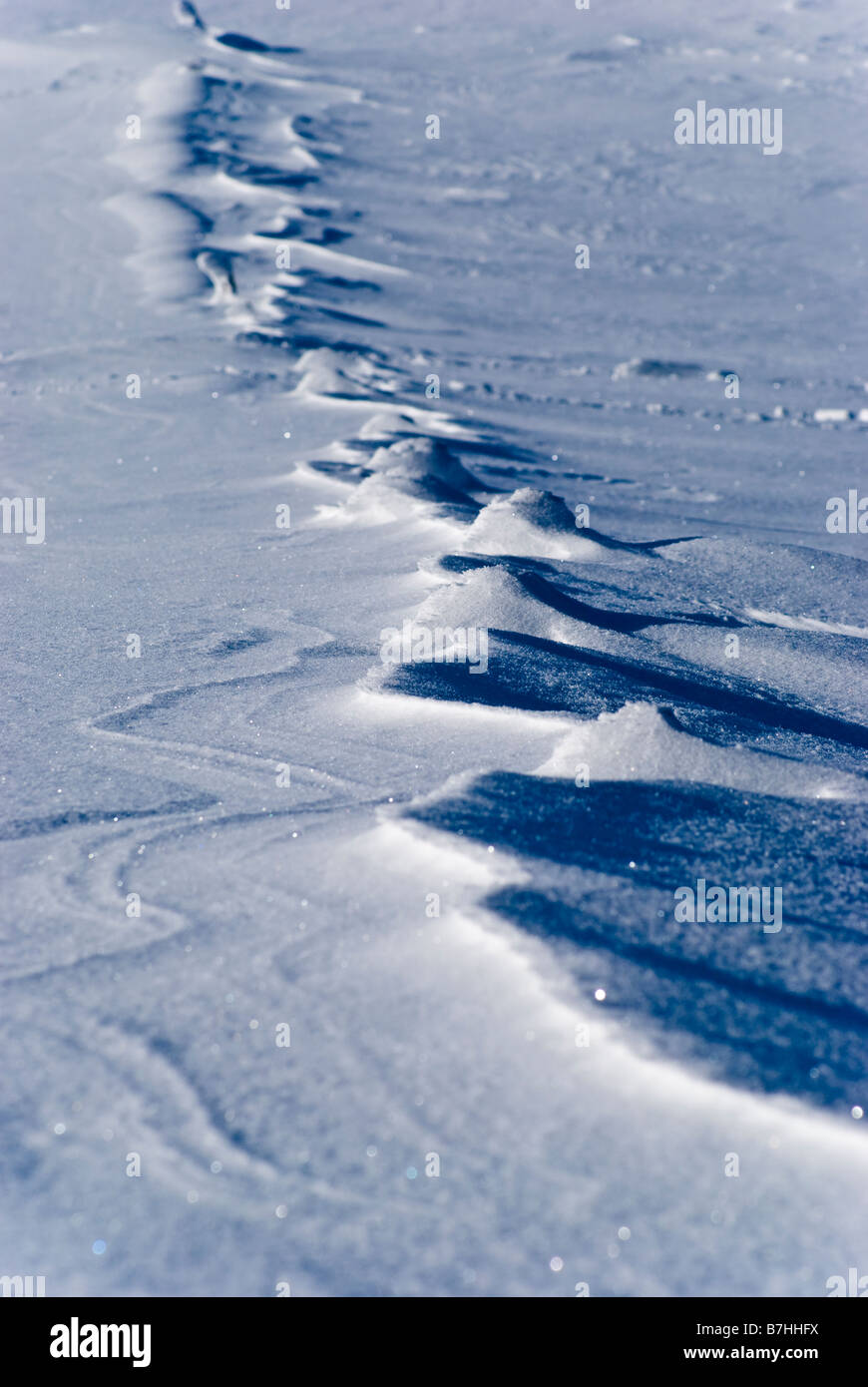 Glisten hi-res stock photography and images - Alamy