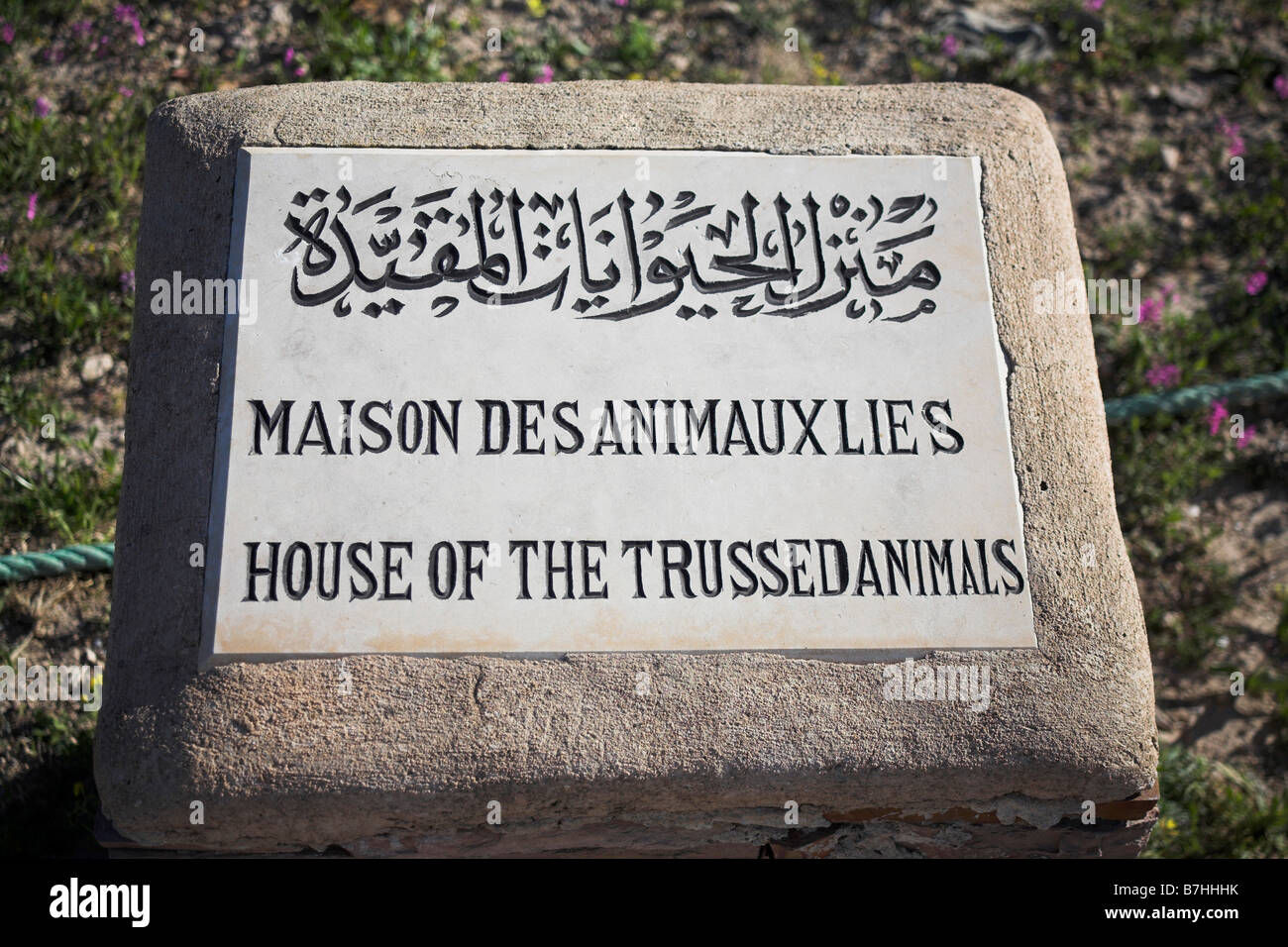 Sign for the House of the Trussed Animals, Thuburbo Majus, The Tell ...