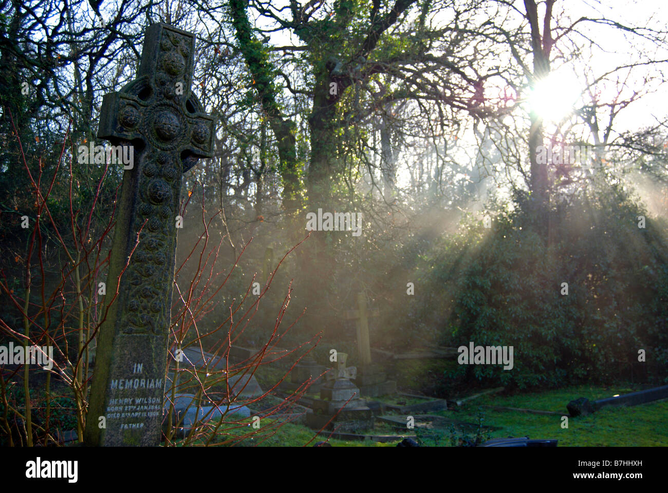 rays of sunlight at putney vale cemetery, wandsworth, london, england ...